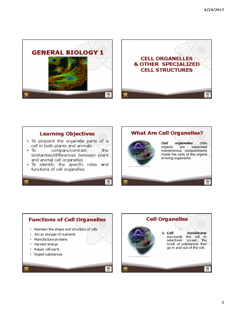 General Biology 1: Cell Organelles & Other Specialized Cell Structures ...