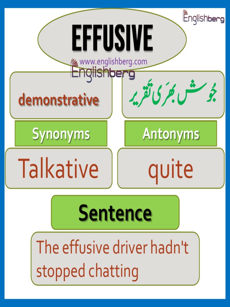 Talkative and Effusive Synonyms | PDF | Government | Justice