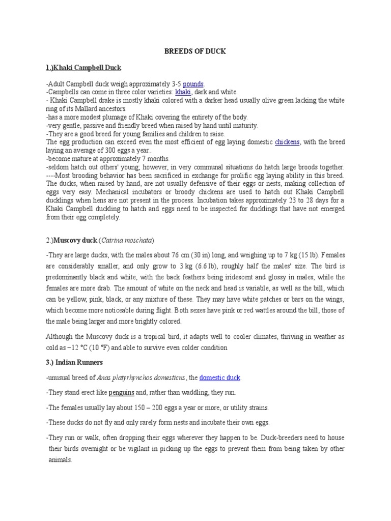 Breeds of Duck Etc.. | Download Free PDF | Paravians | Livestock