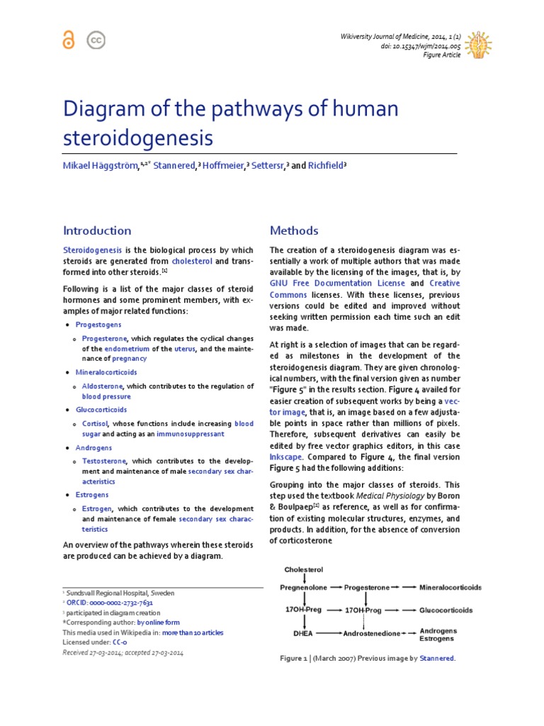 Diagram of The Pathways of Human Steroid o Genesis | PDF | Steroid ...