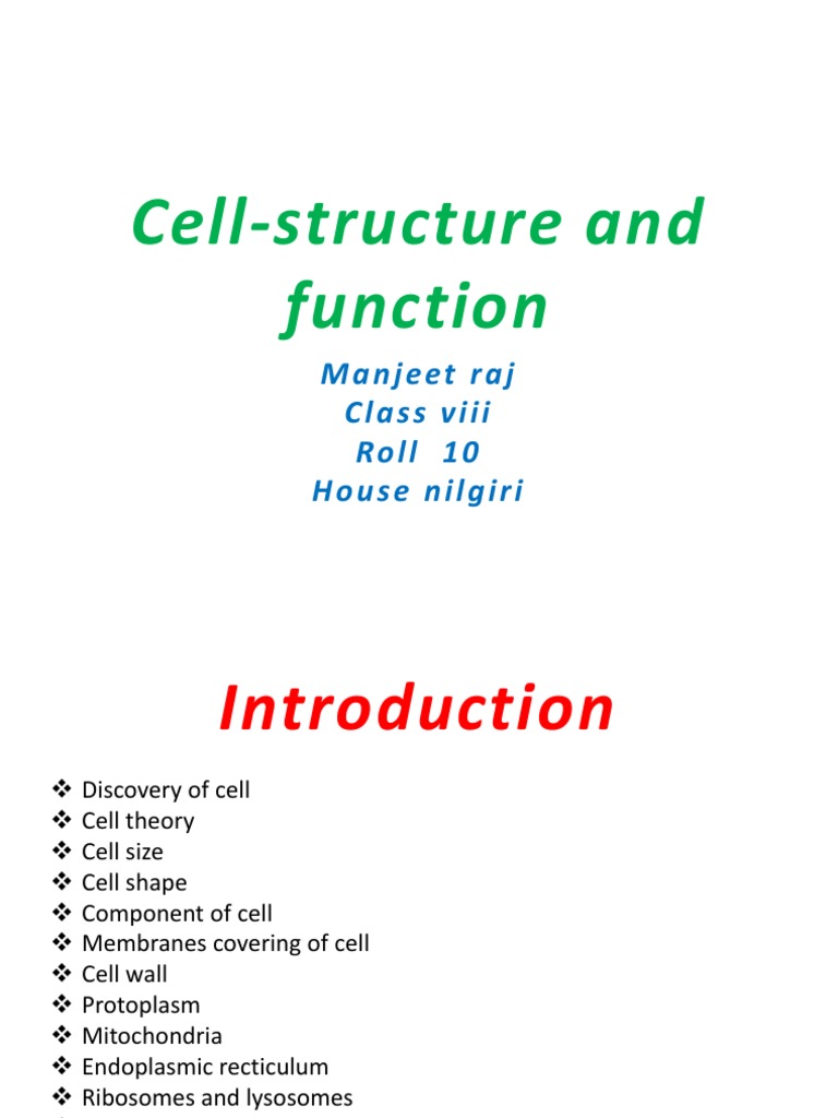 Cell-Structure and Function | PDF | Endoplasmic Reticulum | Mitochondrion
