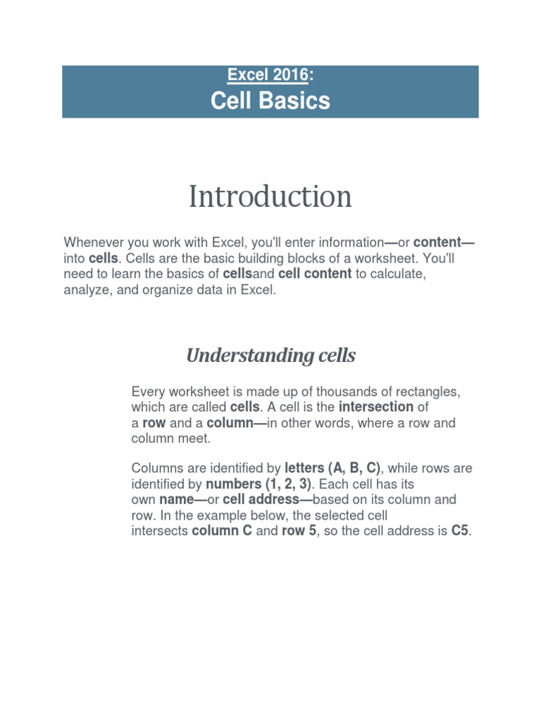 5 Cell Basics | PDF | Spreadsheet | Microsoft Excel