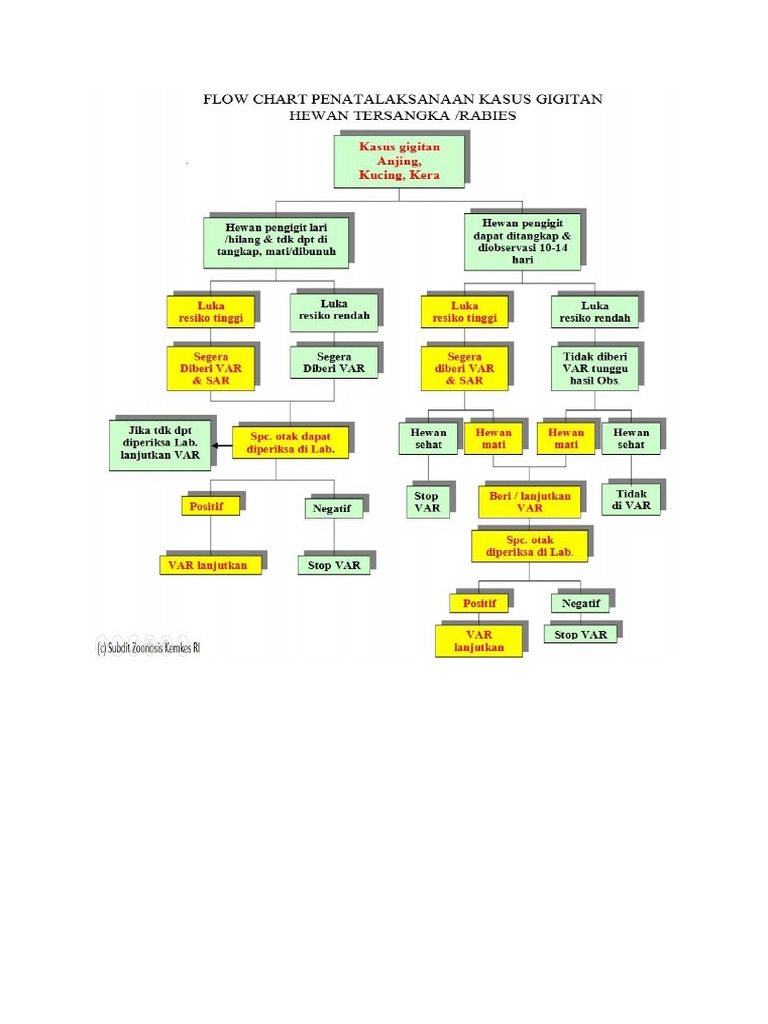Tata Laksana Rabies | PDF