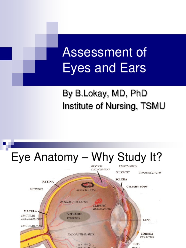 Assessment of Eyes and Ears: by B.Lokay, MD, PHD Institute of Nursing ...