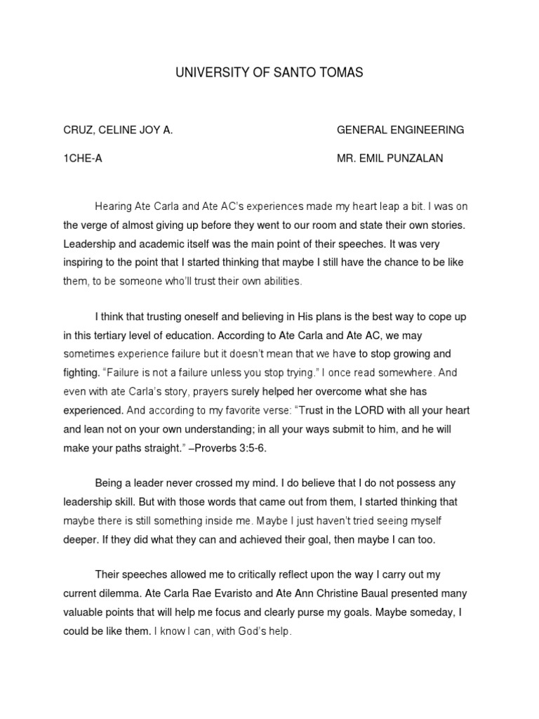 Celine Reflectionpaper | PDF