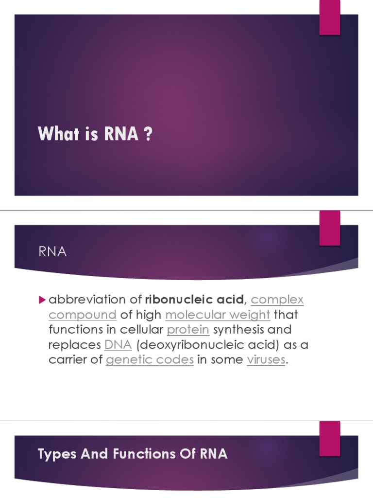 What Is RNA | PDF