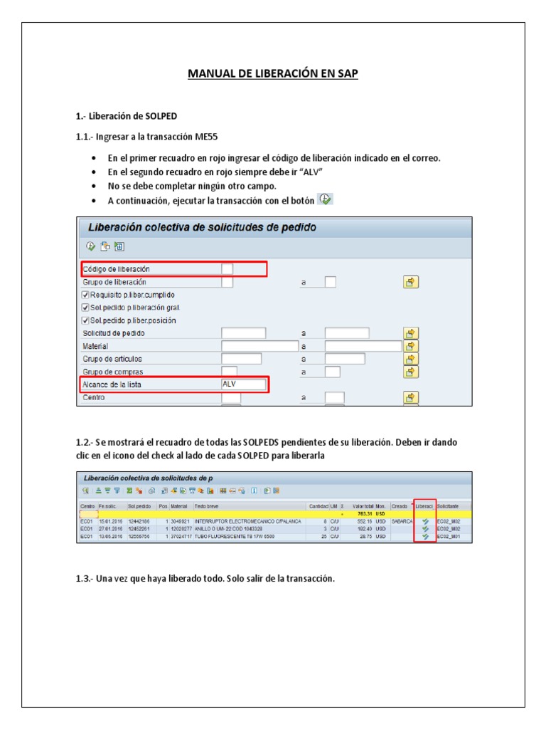 Manual de Liberación en Sap | PDF