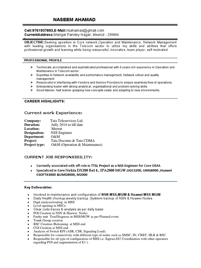 Naseem CV | PDF | Networks | Computer Networking