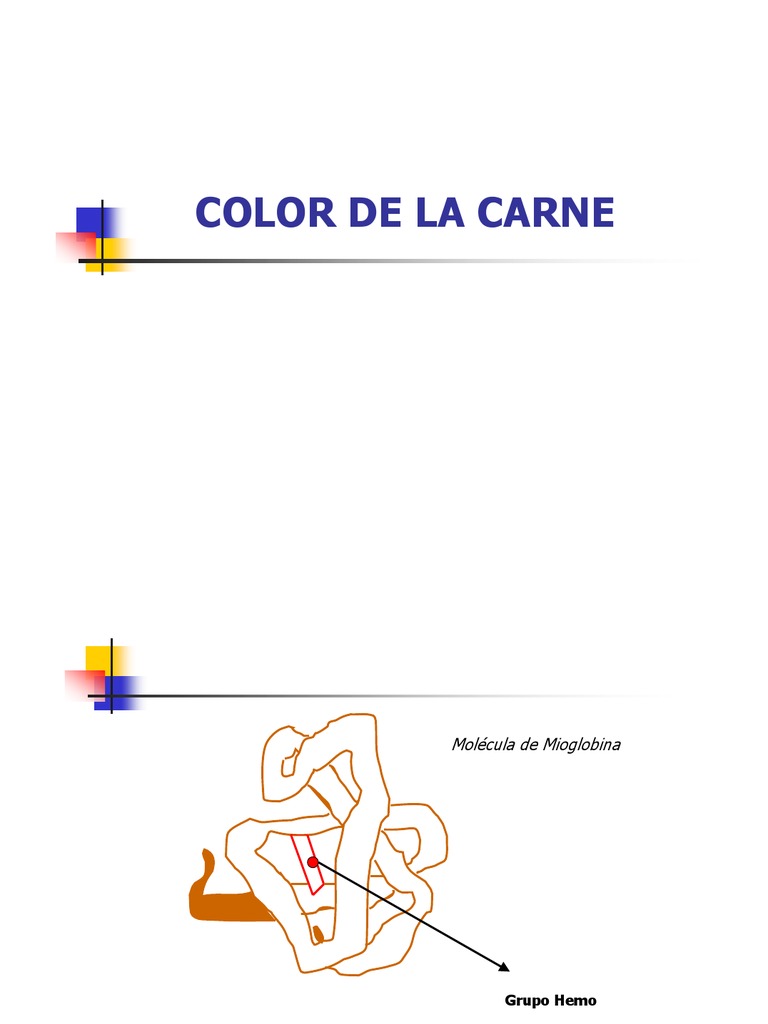 Color de La Carne | PDF | Sabor | Carne