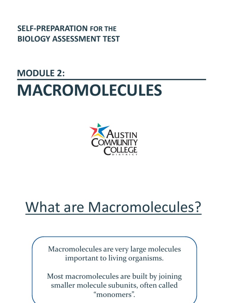 Macromolecules: Self-Preparation Biology Assessment Test | PDF ...