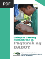 Pagbababuyan | PDF
