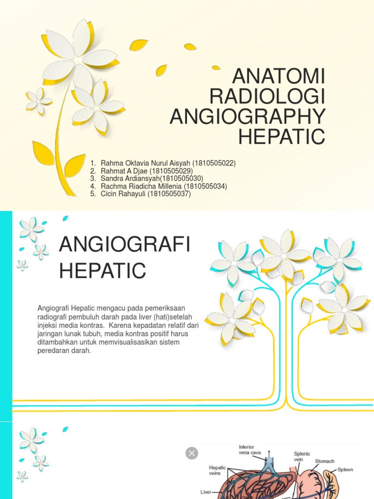 Anrad Angiography Hepatic | PDF