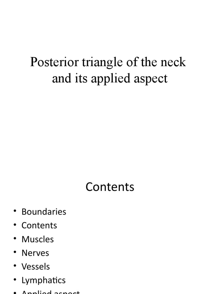 Posterior Triangle of The Neck and Its Applied Aspect | PDF | Neck ...