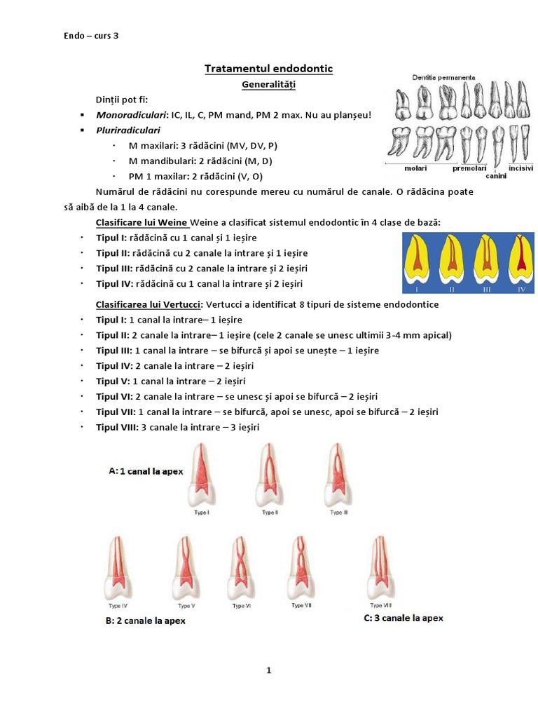 Tratamentul Endodontic | PDF