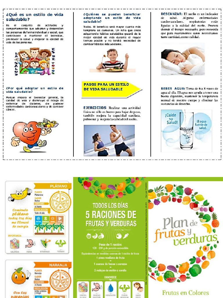 Triptico Vida Saludable | PDF