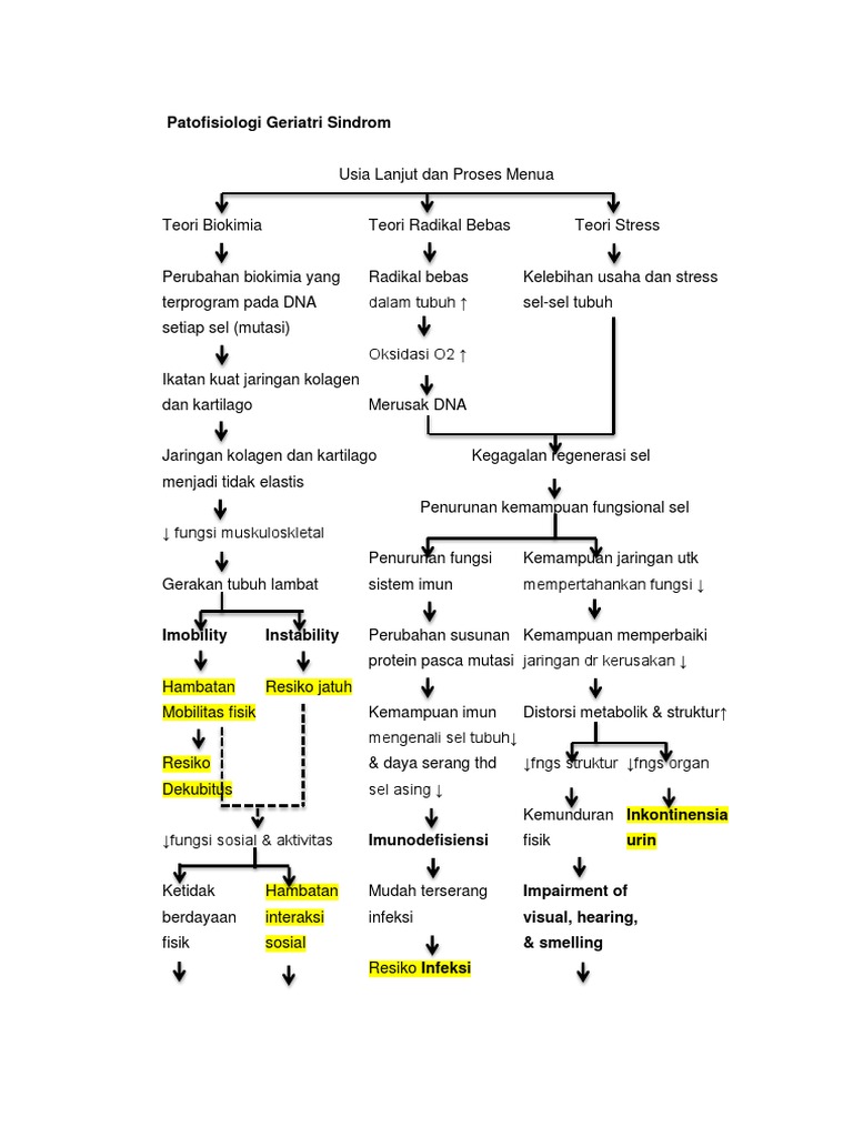 Patofis Sindrom Geriatri | PDF