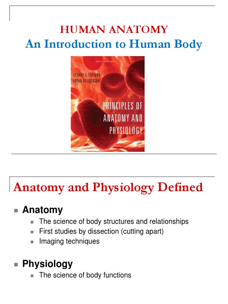 1.0 - Introduction To Human Body | PDF | Human Body | Homeostasis