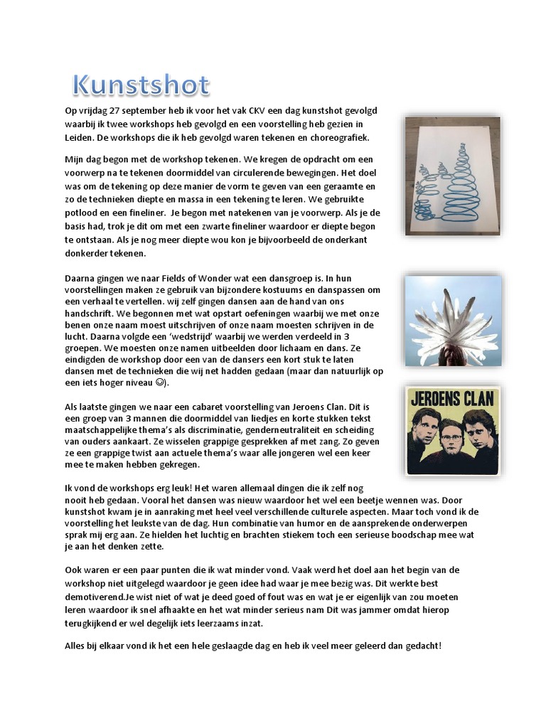 CKV - Kunstshot Verslag | PDF