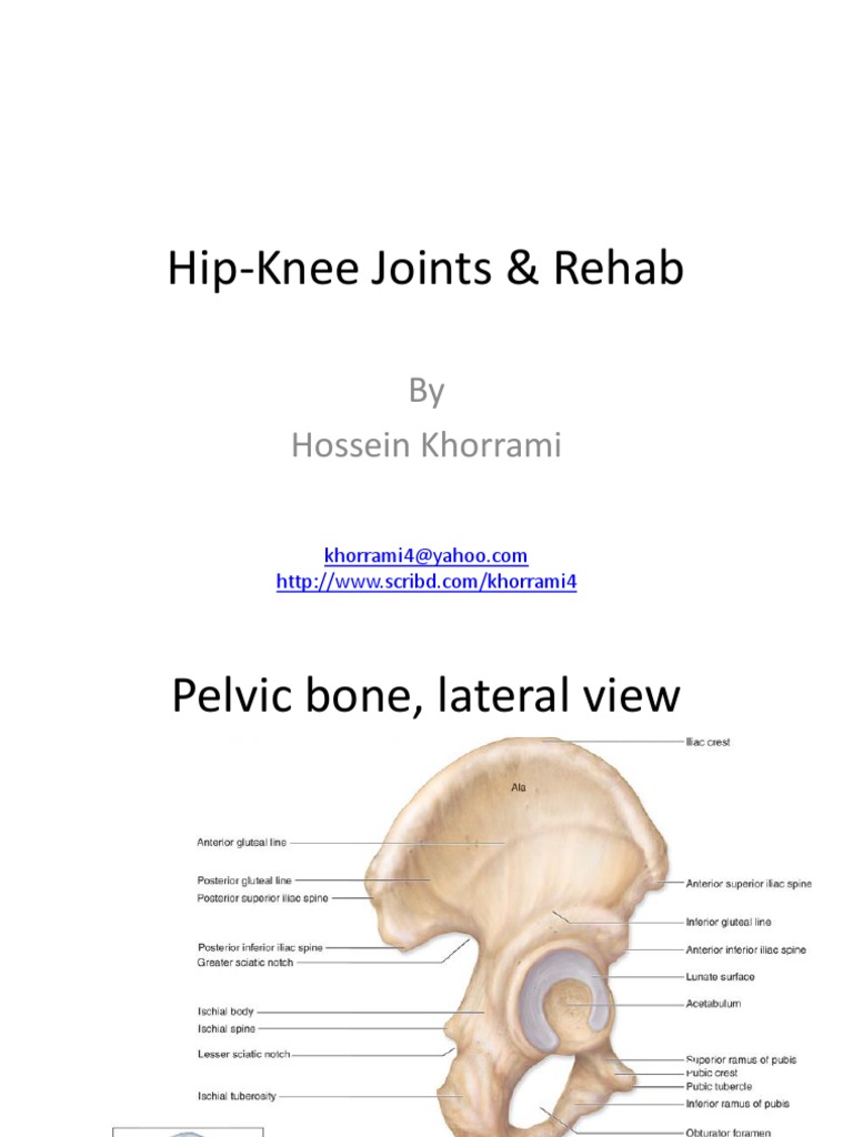 Pelvic Hip Knee Joints Rehab Pdf Knee Pelvis