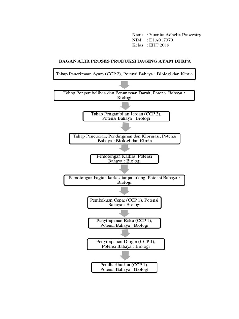 Bagan Alir Proses Produksi Daging Ayam Di Rpa | PDF