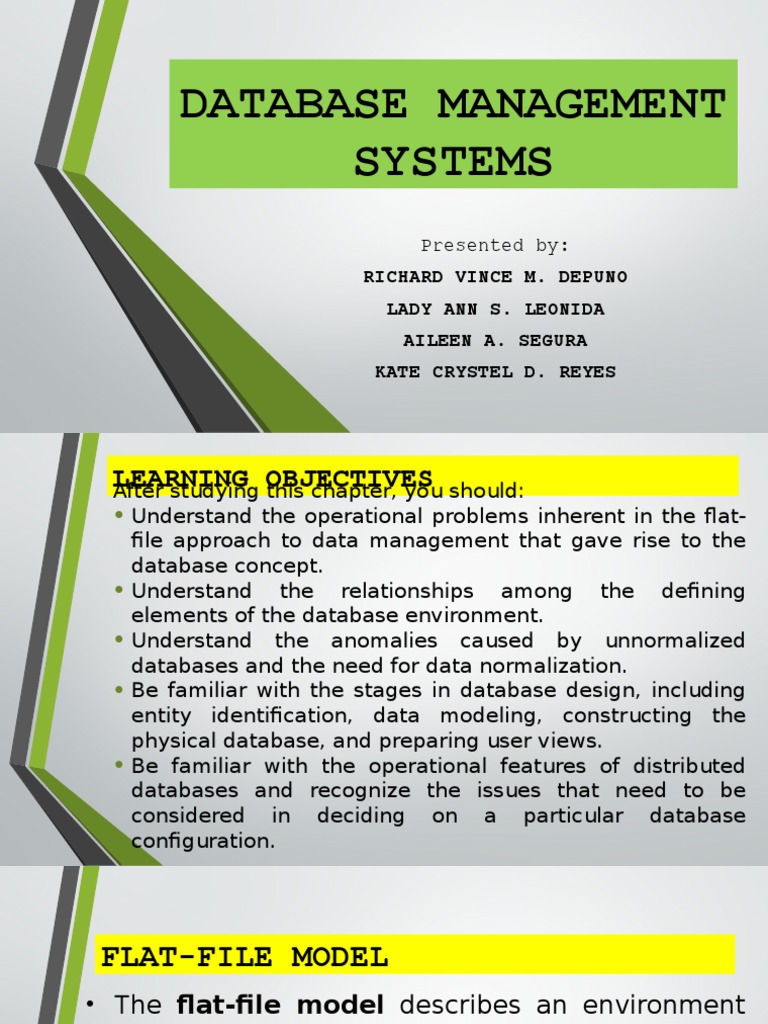 Database Management Systems | PDF | Databases | Information Technology