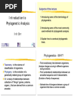 02 UPGMA Example | PDF | Phylogenetic Tree | Applied Mathematics