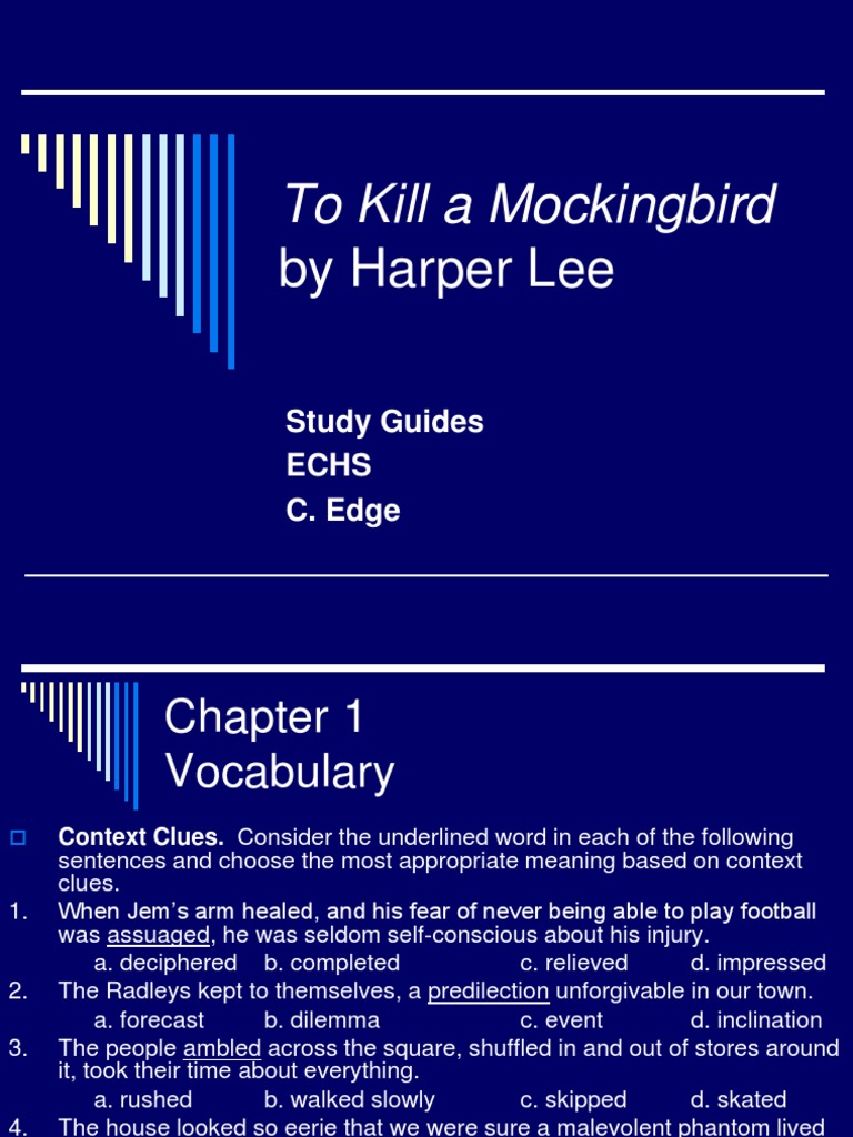 Chapter 1 Vocabulary and Questions | PDF | To Kill A Mockingbird