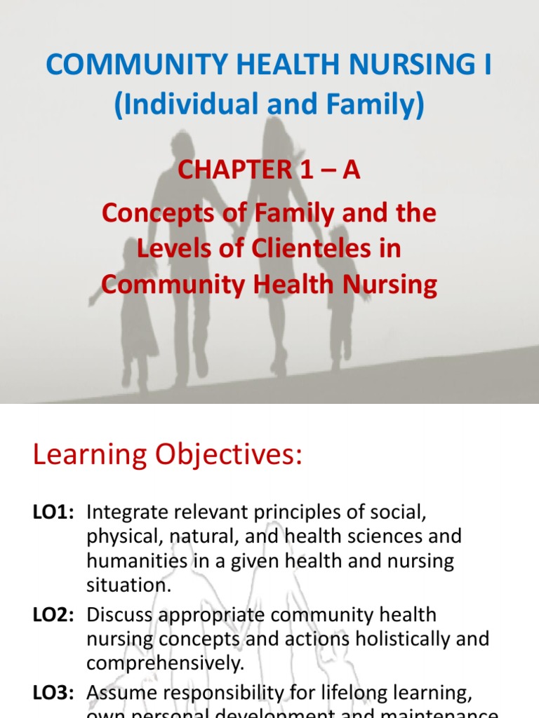 CHN | PDF | Family | Social Group