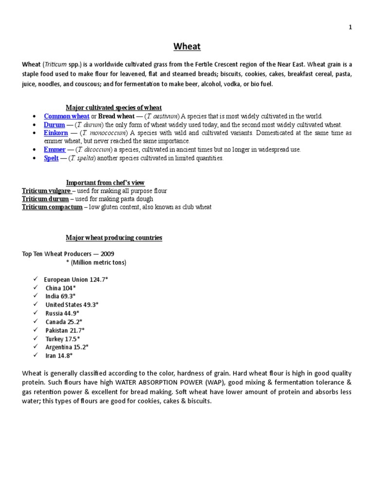 Wheat | PDF | Wheat | Flour