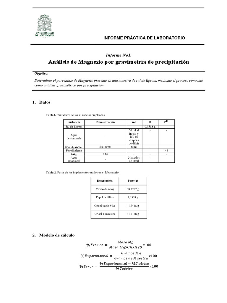 Informe Practica de Laboratorio UdeA #1 | PDF | Magnesio | Química