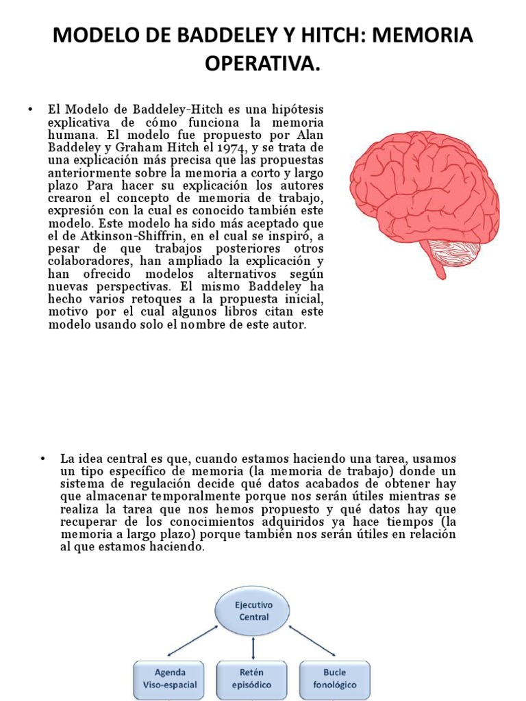 Modelo De Baddeley Y Hitch: Memoria Operativa