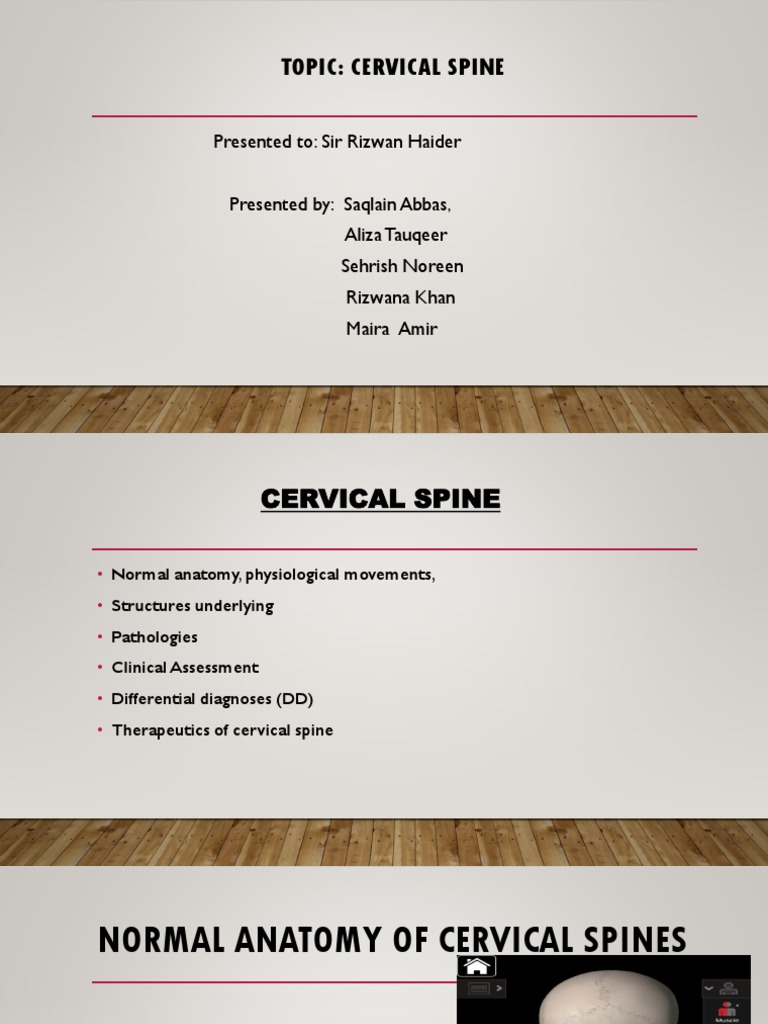 CERVICAL Presentation | PDF | Vertebra | Vertebral Column