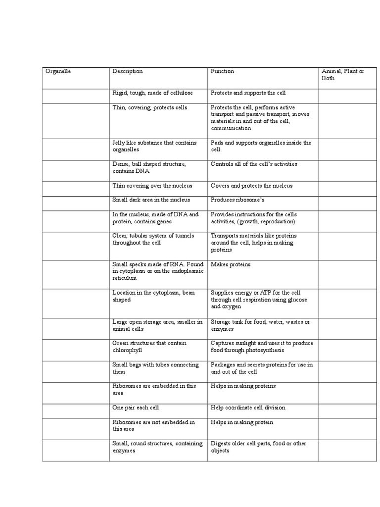 Cell Organelles and Their Functions | PDF | Cell Nucleus | Cell (Biology)