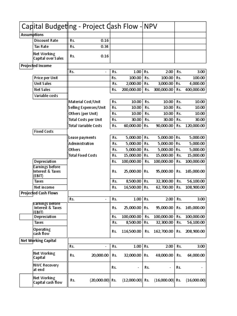 Capital Budgeting Project Cash Flow Npv Assumptions Pdf