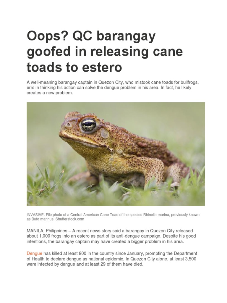 An Invasive Solution: How the Release of Cane Toads in Quezon City ...