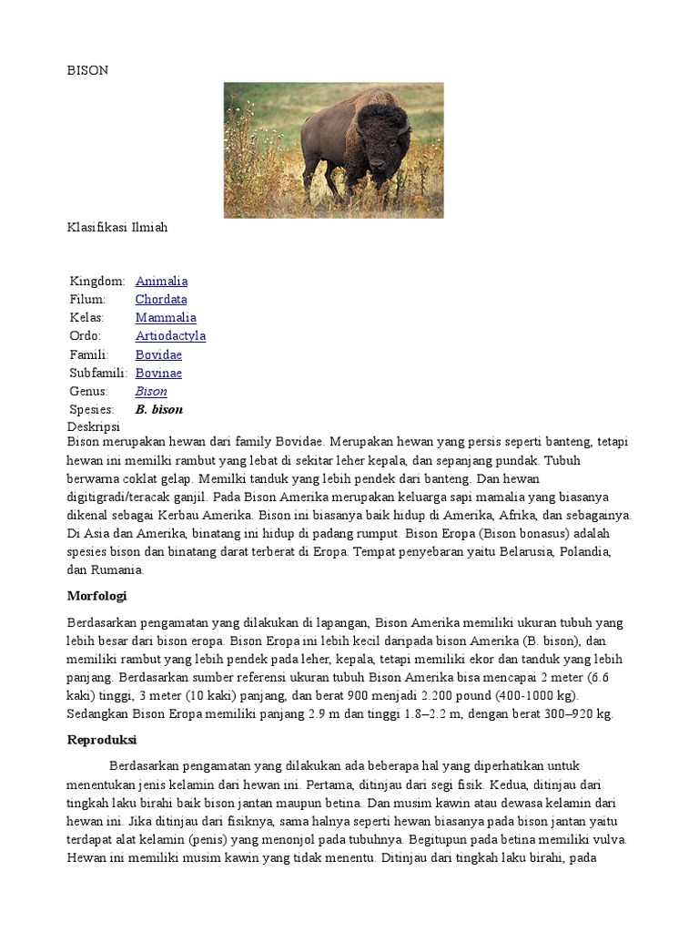 Bison | PDF