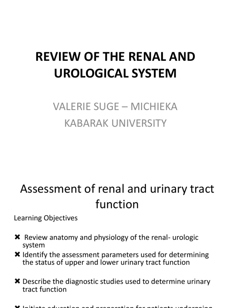 Introduction and Assessment of The Renal - Urological System | PDF ...