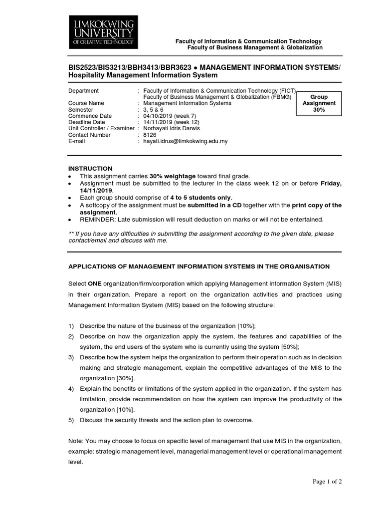 MIS Assignment | PDF | Management Information System | Strategic Management