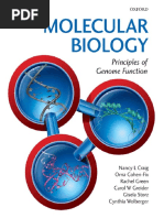 Molecular Biology of The Cell 7th Edition PDF | PDF | Gene | Dna