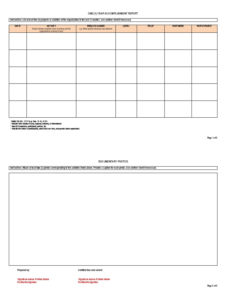 8 - Accomplishment Report Template | PDF