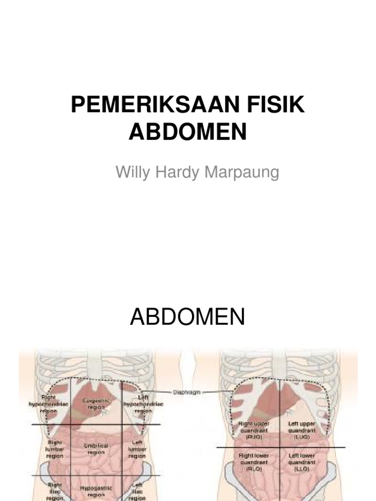 Pemeriksaan Fisik Abdomen | PDF | Kesehatan Holistik