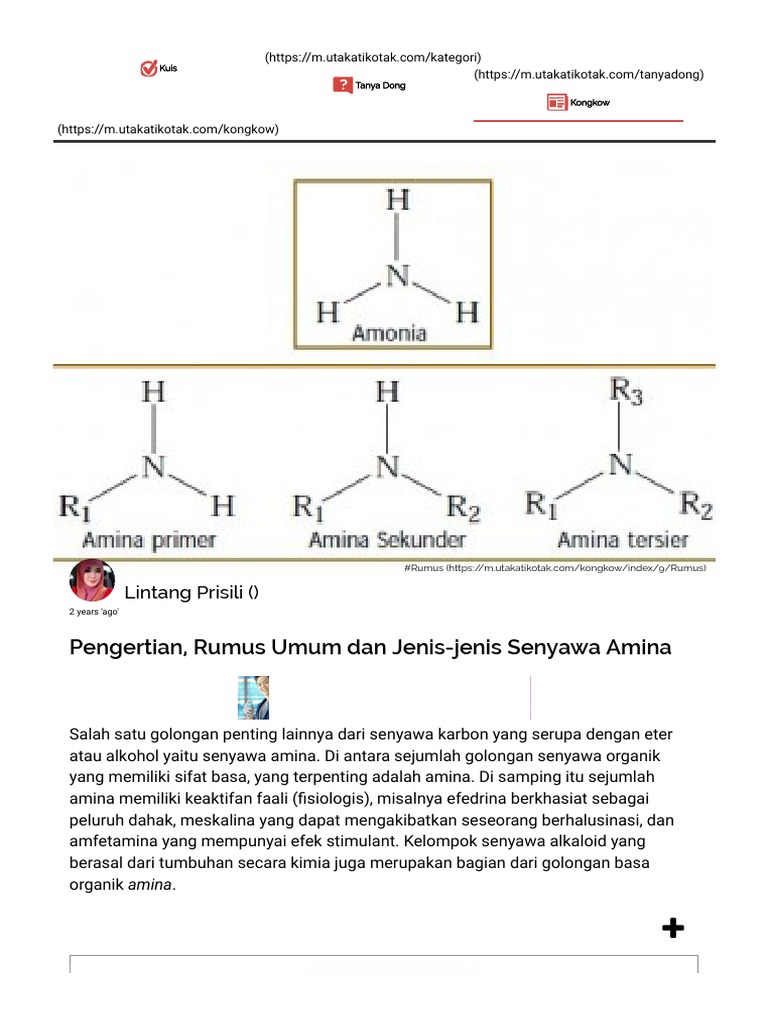 Pengertian, Rumus Umum Dan Jenis-Jenis Senyawa Amina | PDF