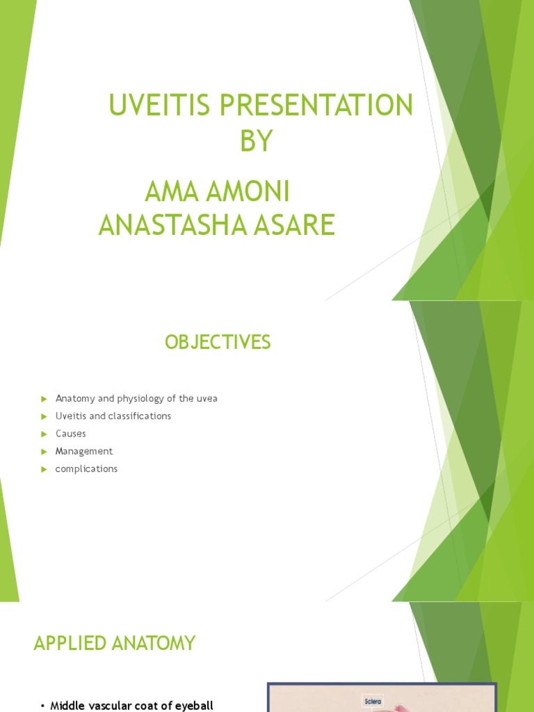 Uveitis Presentation Ridge Hospital | PDF | Retina | Human Eye