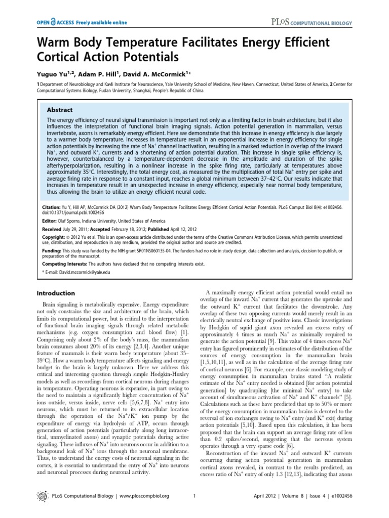 Action Potential | PDF | Action Potential | Brain