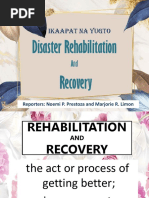 RA 10121 - DRRM Act Tagalog | PDF