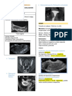 Clasificación Roper Hall y Dua | PDF