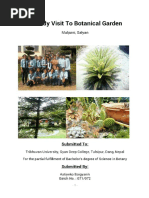 National Botanical Garden Field Trip Report | PDF | Botany | Gardens