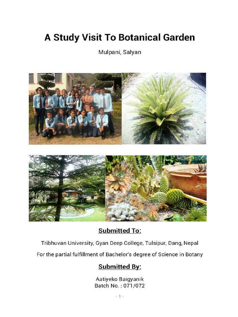 Field Visit Report | PDF