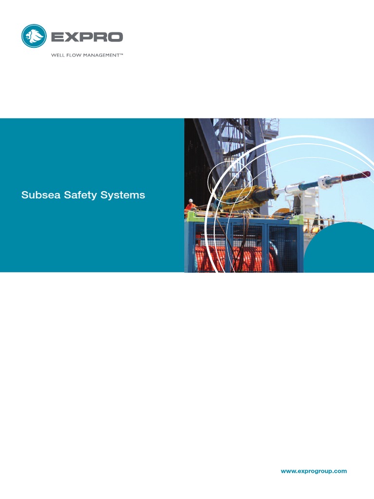 Vam 21 | PDF | Subsea (Technology) | Nature