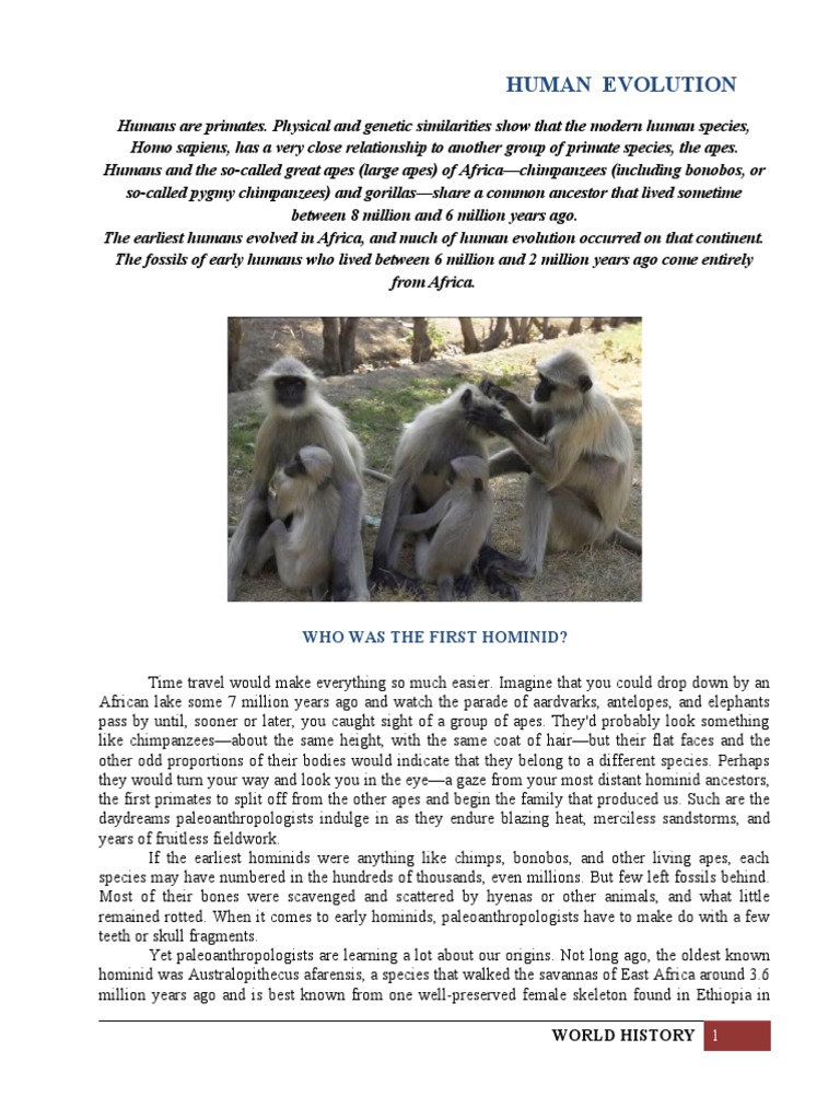 Who Was The First Hominid | PDF | Hominidae | Human Evolution